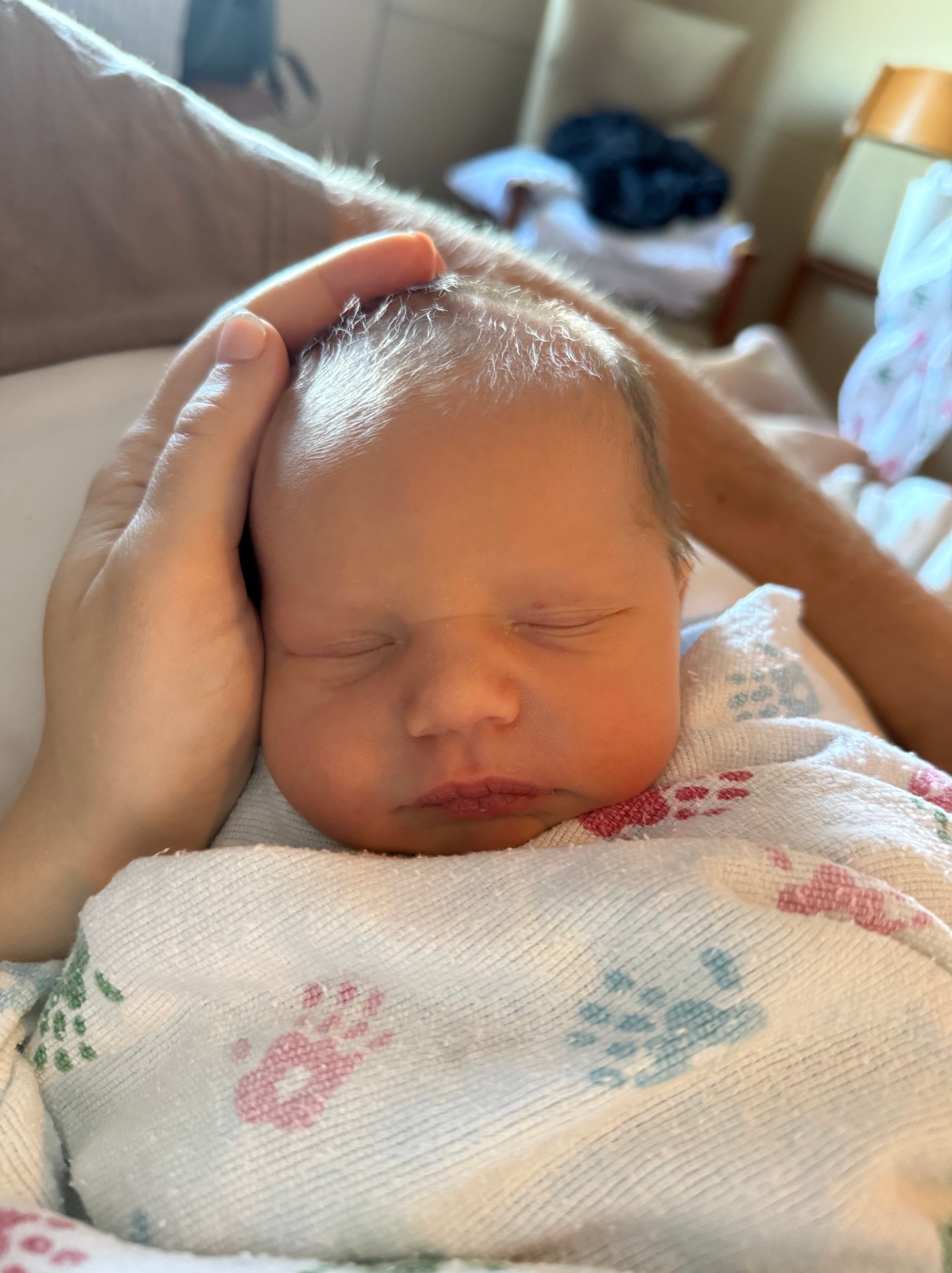 Introducing Beau | a small drop of ink